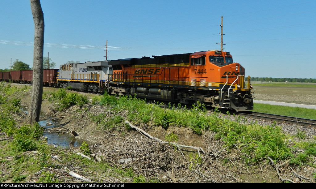 Under A Solo Shade Tree